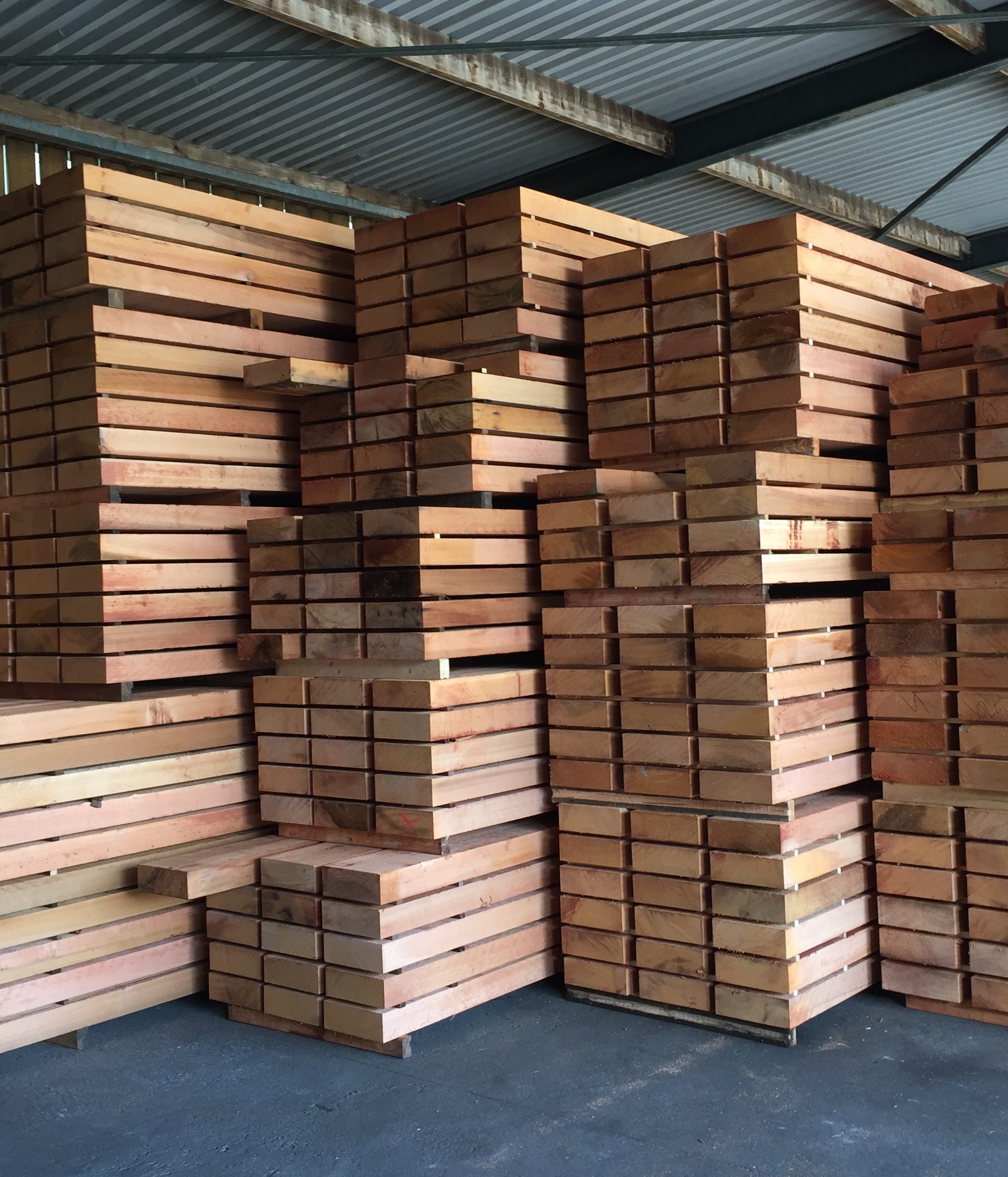 Western Red Cedar – Nature Wood